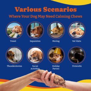 YoYoBay Calming Chews for Dogs - Dog Calming Chews for Anxiety Relief, Separation Aid, Travel, Thunderstorms - 180 Soft Chews, Duck & Pear Flavor - with Valerian Root, Melatonin, Hemp Oil