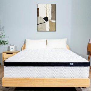 MOLBIUS Full Size Mattress 10 Inch | Full Mattresses in a Box Hybrid | Medium Firm Feel Memory Foam and Individual Pocket Springs | Fiberglass Free Bed Matress | Breathable | CertiPUR-US | Upgrade