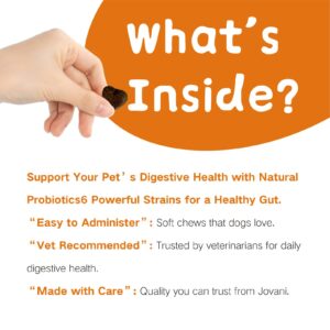 jovani Probiotic Soft Chews for Dogs, Digestive Enzymes for Gut Flora, Digestive Health, Diarrhea & Bowel & Immune System Support - Pumpkin Flavor - Contains 200 Soft Chews