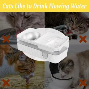 Cat Fountain Water Bowl Stainless Steel, Royal Claws101oz/3L Automatic Pet Water Fountain, Dog Water Dispenser Cat Feeding Watering Supplies with 2 Filters for Cats, Dogs, Pets Blue (White(2 in 1))