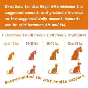 jovani Probiotic Soft Chews for Dogs, Digestive Enzymes for Gut Flora, Digestive Health, Diarrhea & Bowel & Immune System Support - Pumpkin Flavor - Contains 200 Soft Chews