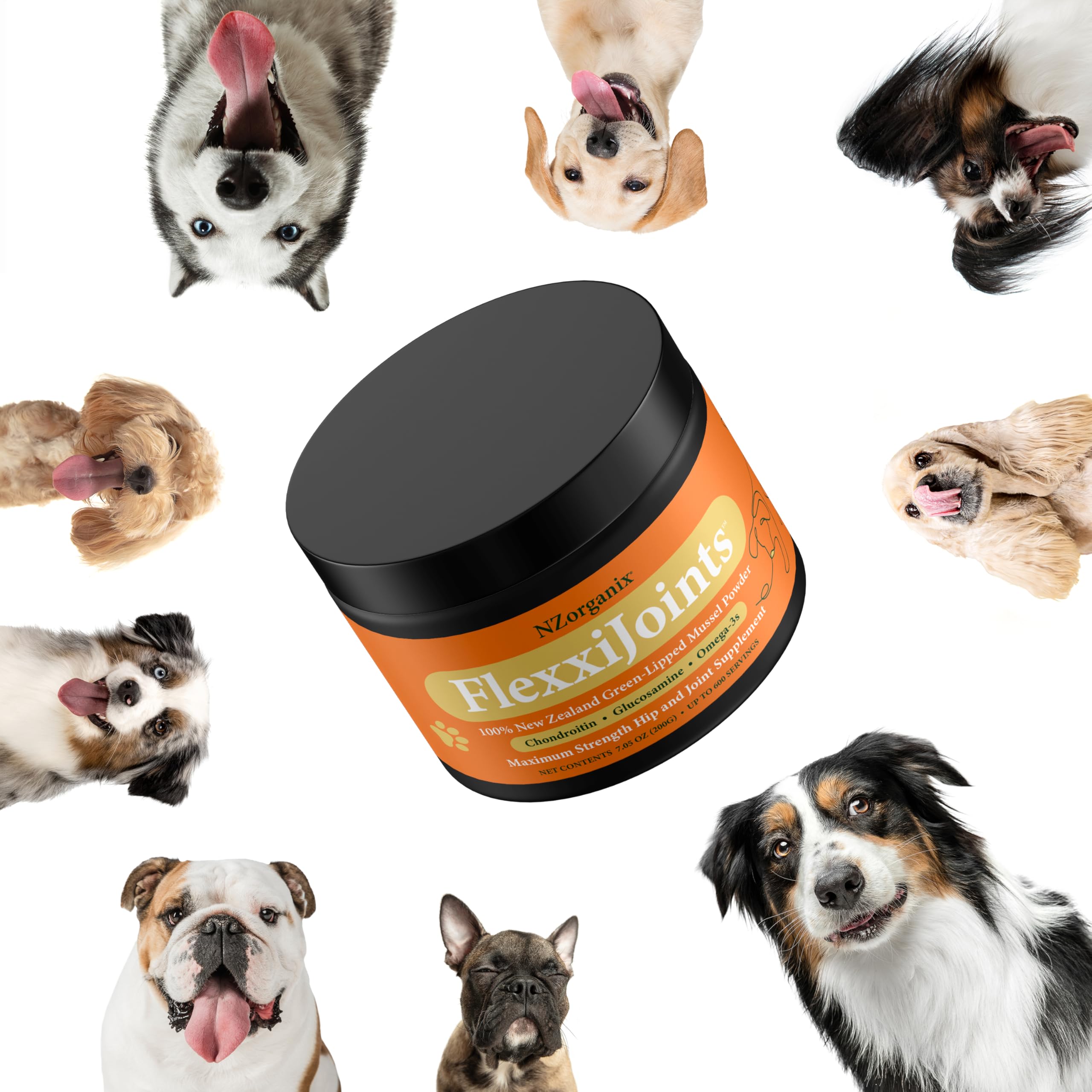 KiwiOrganix NZorganix FlexxiJoints 100% New Zealand Green-Lipped Mussel Powder, Hip & Joint Support Formula for Dogs & Cats, with Glucosamine, Chondroitin 100g (300 Servings)