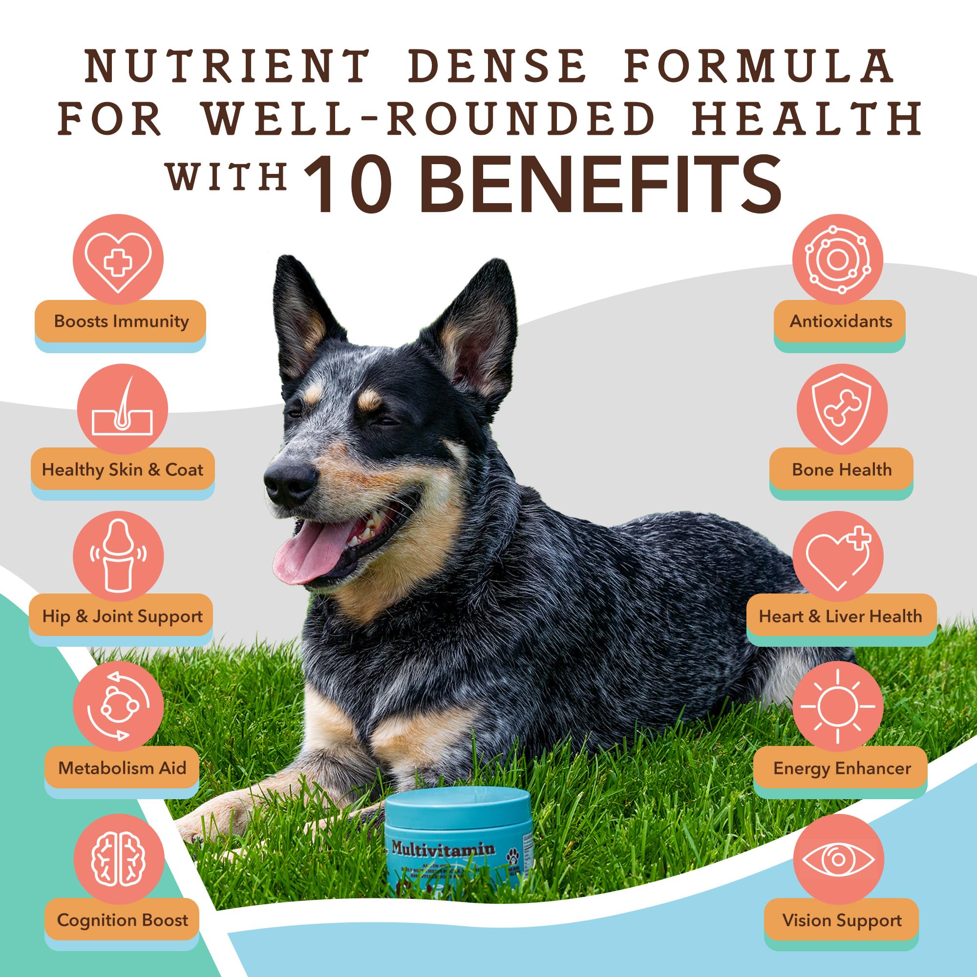 Natural Dog Company Multivitamin Chews for Dogs Bundle, Total Health Boost with Hip & Joint Chews, Liver & Kidney Chews, Essential Dog Multivitamins for Joint Support and Organ Health