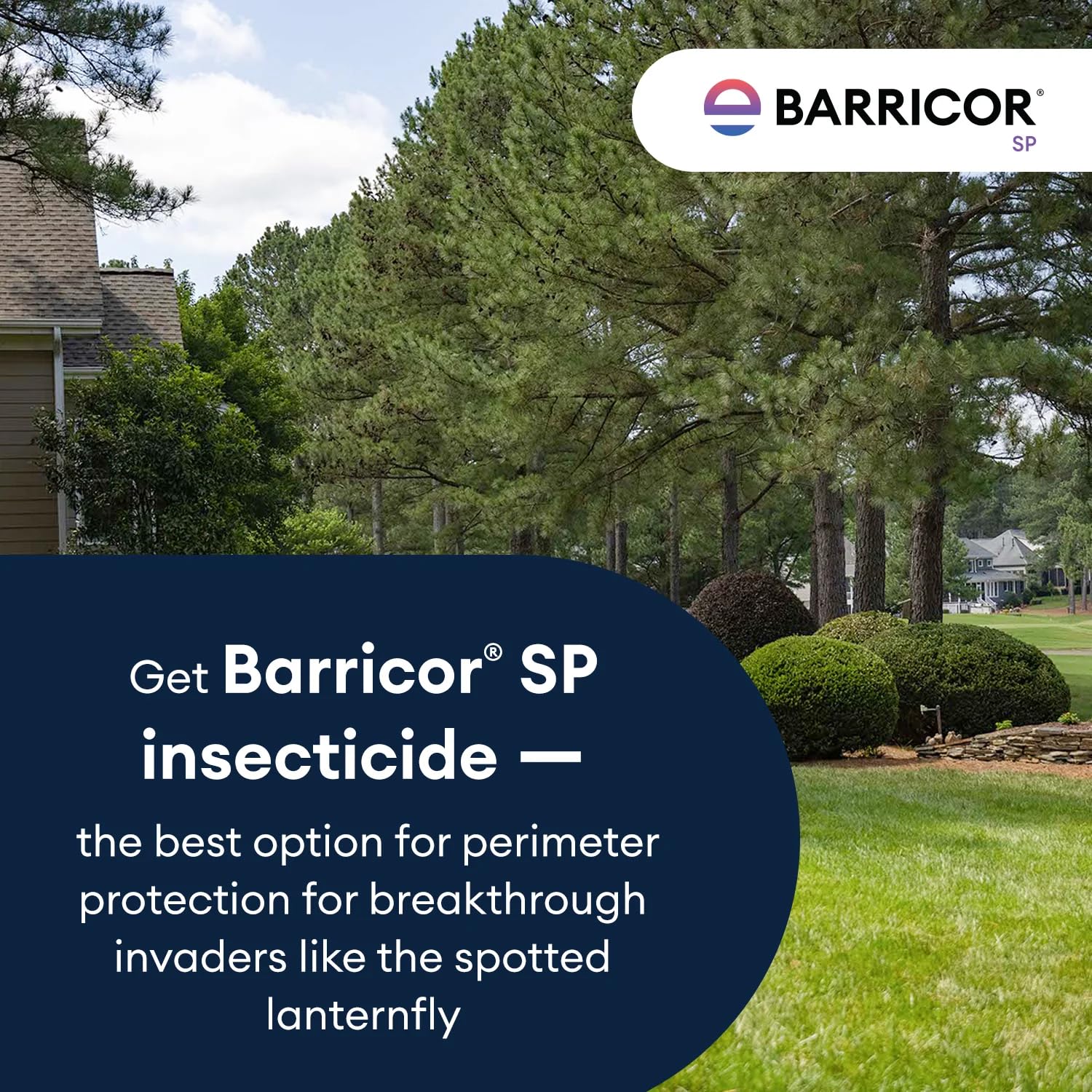 Bayer Barricor SP - 32oz Insecticide