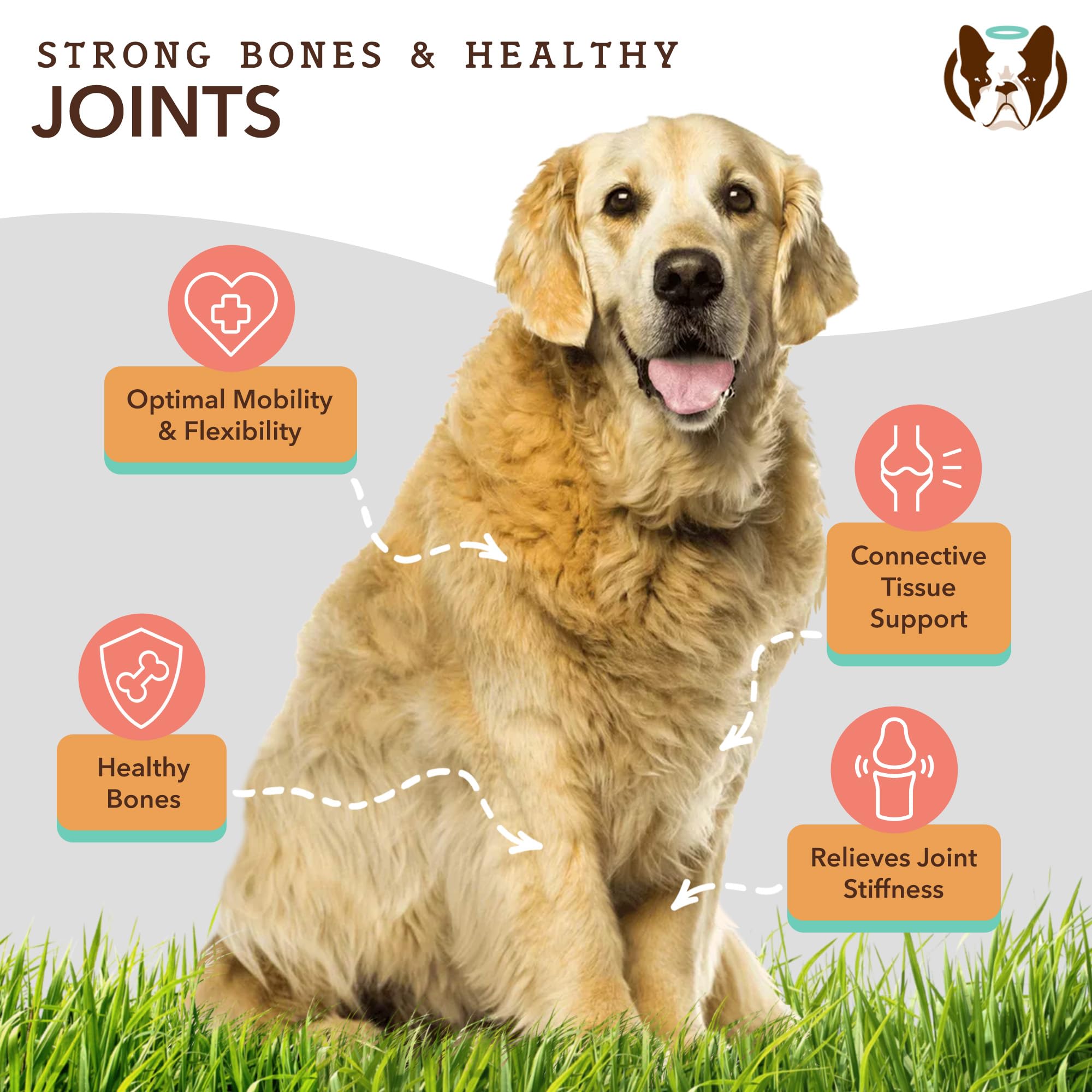 Natural Dog Company Multivitamin Chews for Dogs Bundle, Total Health Boost with Hip & Joint Chews, Liver & Kidney Chews, Essential Dog Multivitamins for Joint Support and Organ Health