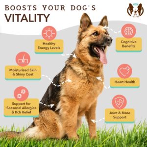 Natural Dog Company Multivitamin Chews and Ultra Omega Oil for Active Dogs - Nutrient-Rich Dog Treats with Omega-3 and Essential Vitamins, Supports Cognitive Health and Overall Vitality for All Breeds