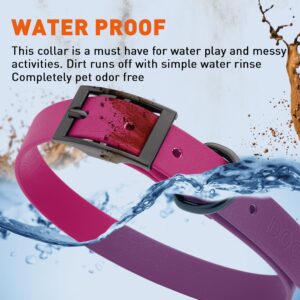 Dogline Biothane Waterproof Dog Collar Strong Coated Nylon Webbing with Black Hardware Odor- Proof for Easy Care Easy to Clean High Performance Fits Small Medium or Large Dogs, Magenta Pink