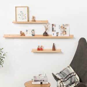 Rsuwiz Walnut Floating Shelves for Wall 16 inches Natural Wood Wall Shelves Nursery Bookshelf, Picture Ledge Floating Display Shelf for Bedroom Living Room Decor Photo Frames