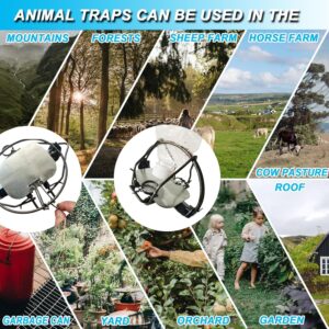 𝐀𝐧𝐢𝐦𝐚𝐥 𝐭𝐫𝐚𝐩 2 Packer Reusable Spring Traps Outdoor Traps are Responsive and efficientEasy to placeSuitable for a Variety of terrains Such as lawnsWoodsGardens (7in-2packer)