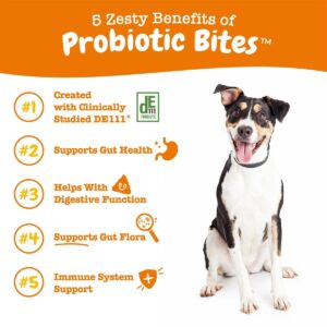 Probiotic Bites Soft Chews, Digestive Probiotics for Gut Flora & Immune Support for Dogs, Pumpkin Flavor 60 Count