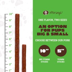 etta says! Big Yumm Sticks - Real Meat Beef Dog Treats - Human Grade - Made in The USA (24 Count Pack of 1)