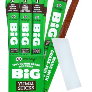 etta says! Big Yumm Sticks - Real Meat Beef Dog Treats - Human Grade - Made in The USA (24 Count Pack of 1)