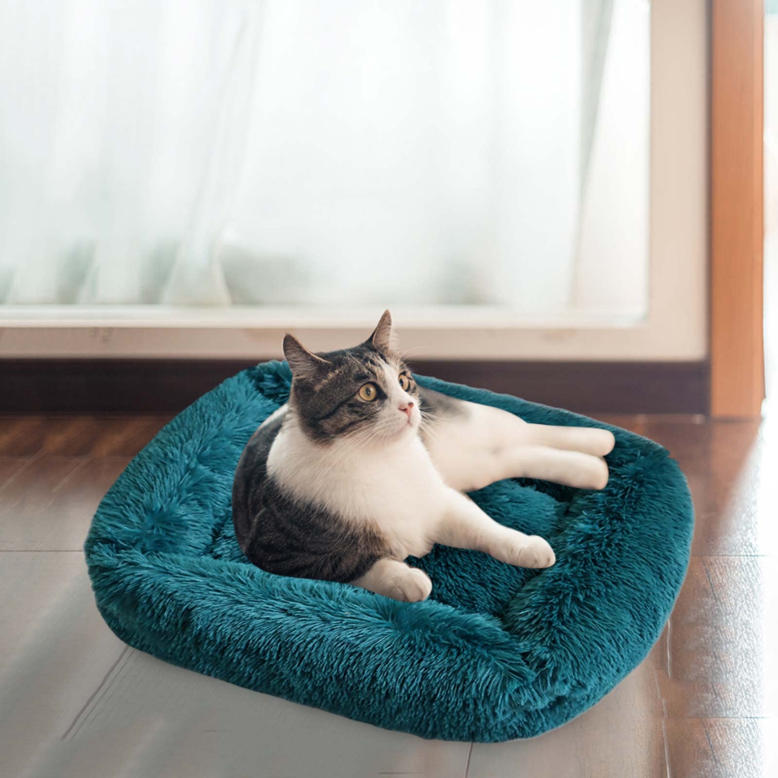 Dog Beds Calming Dog Beds for Small Dogs Buy Again Orders Square Kitten Beds for Indoor Kittens Washable Cat Bed Self Warming Fluffy Soft Anti Anxiety Cat Bed Cat Cuddler Cat Bed