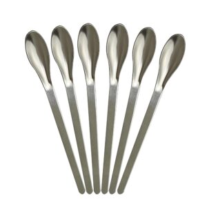 ZHUUO 1 Set Stainless Steel Miniature Laboratory Sampling Spoon, Spatula Combination Reagent Spoon, Lab Utensils (Pack of 6)