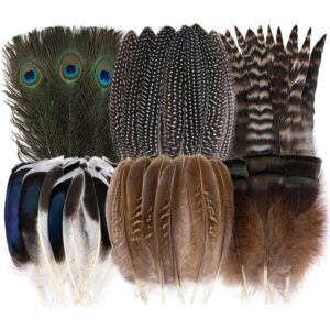 holmgren 48pcs natural feathers bulk - 6 styles 48pcs assorted natural feathers, peacock feathers, pheasant feathers, turkey feathers for craft diy jewelry hat wedding home party decoration