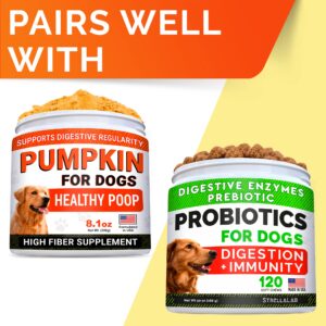 STRELLALAB Pumpkin for Dogs - High Fiber Powder Supplement - Stool Consistency and Softener - Digestion Support - Made in USA - Pumpkin