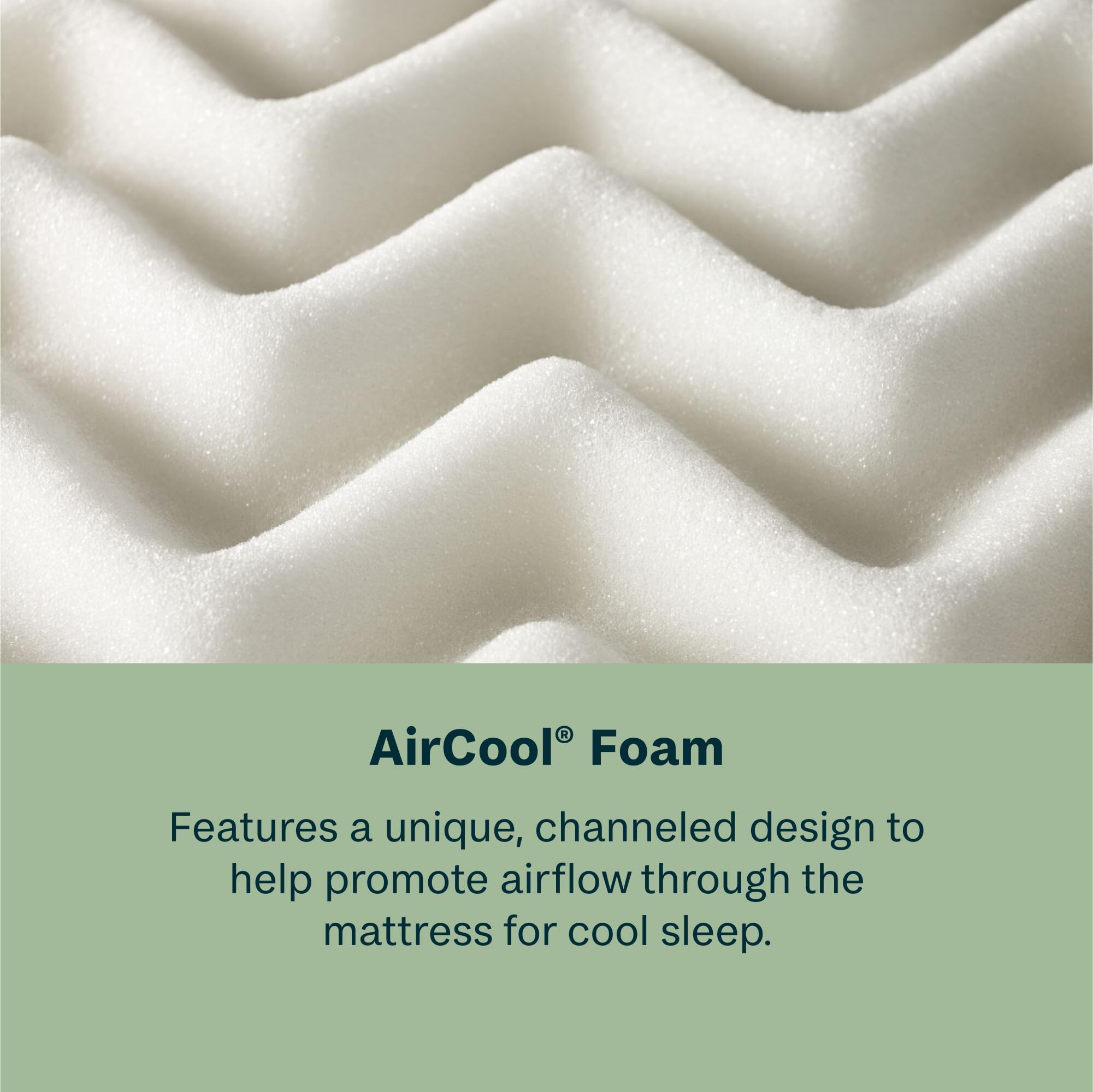 Beauty Sleep DreamRest Firm 11.5" Twin XL Mattress, Pocketed Coils, Cooling, Breathable, and Pressure Relieving - 100 Night Trial, CertiPUR-US Certified and 10 Year Limited Warranty