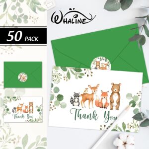 Whaline 50 Pack Woodland Thank You Cards with Envelopes Stickers Forest Animal Greeting Cards Blank Note Cards for Baby Shower Birthday Wedding, 4 x 6 Inch