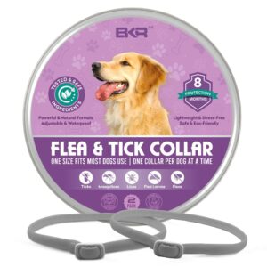 bkrmart flea and tick collar for dogs, 8 months protection natural dog flea collar and tick treatment, one size fits all dogs flea & tick prevention collar 2 pack