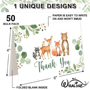 Whaline 50 Pack Woodland Thank You Cards with Envelopes Stickers Forest Animal Greeting Cards Blank Note Cards for Baby Shower Birthday Wedding, 4 x 6 Inch