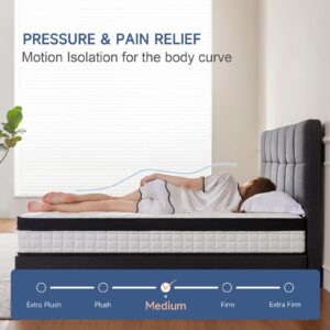 netply King Size Mattress, 12 Inch King Mattress in a Box, Hybrid Memory Foam & Individually Pocket Spring to Improve Sleep and Pain Relief, Medium Firm Mattress, CertiPUR-US Certified.