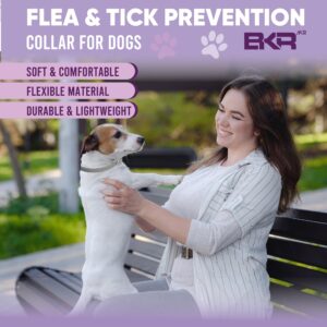 BKRMART Flea and Tick Collar for Dogs, 8 Months Protection Natural Dog Flea Collar and Tick Treatment, One Size Fits All Dogs Flea & Tick Prevention Collar 2 Pack