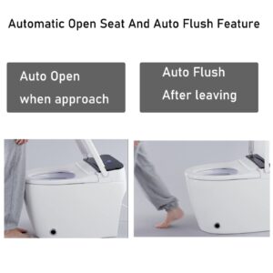 Smart Toilet with Heated Bidet Seat, Intelligent Tankless Toilet with Bidet Built-in, Feet Sensor, Auto Open/Close Seat, Off Seating Auto Flush, Night Light, Warm Water & Dryer, White