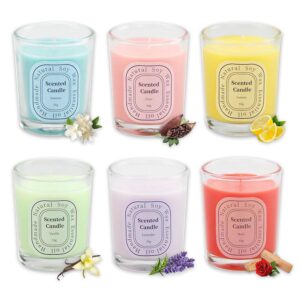 6 pack aromatherapy scented candles gifts set for women,natural soy wax lavender candles,33 oz 100 hour long lasting candles for home,yoga,stress relief