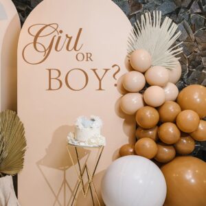 girl or boy wall decal, gender reveal wall stickers, baby shower wall stickers sign，baby shower welcome sign，arch decor baby party decorations vinyl stickers for backdrop party supply.