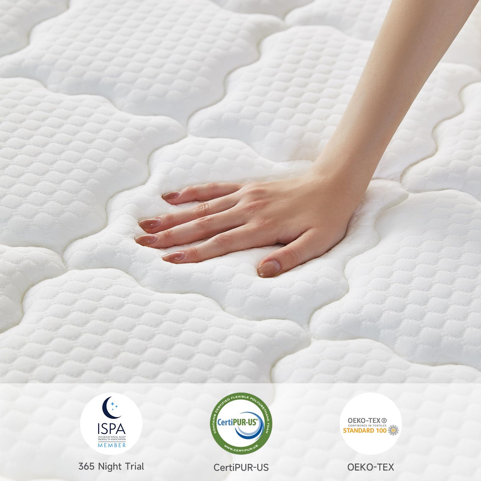 netply Queen Mattresses,10 Inch Queen Size Mattress in a Box, Hybrid Memory Foam & Individually Pocket Spring to Improve Sleep and Pain Relief, Medium Firm Mattress, CertiPUR-US Certified.