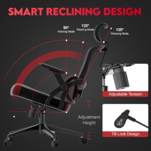 LaoJawBow Ergonomic Office Chair - 500LB Comfy Desk Chairs with Headrest and Lumbar Back Support, Heavy Duty Mesh Computer Chairs with Wheels and Arms for Home Office, Study, Bedroom and College Dorm