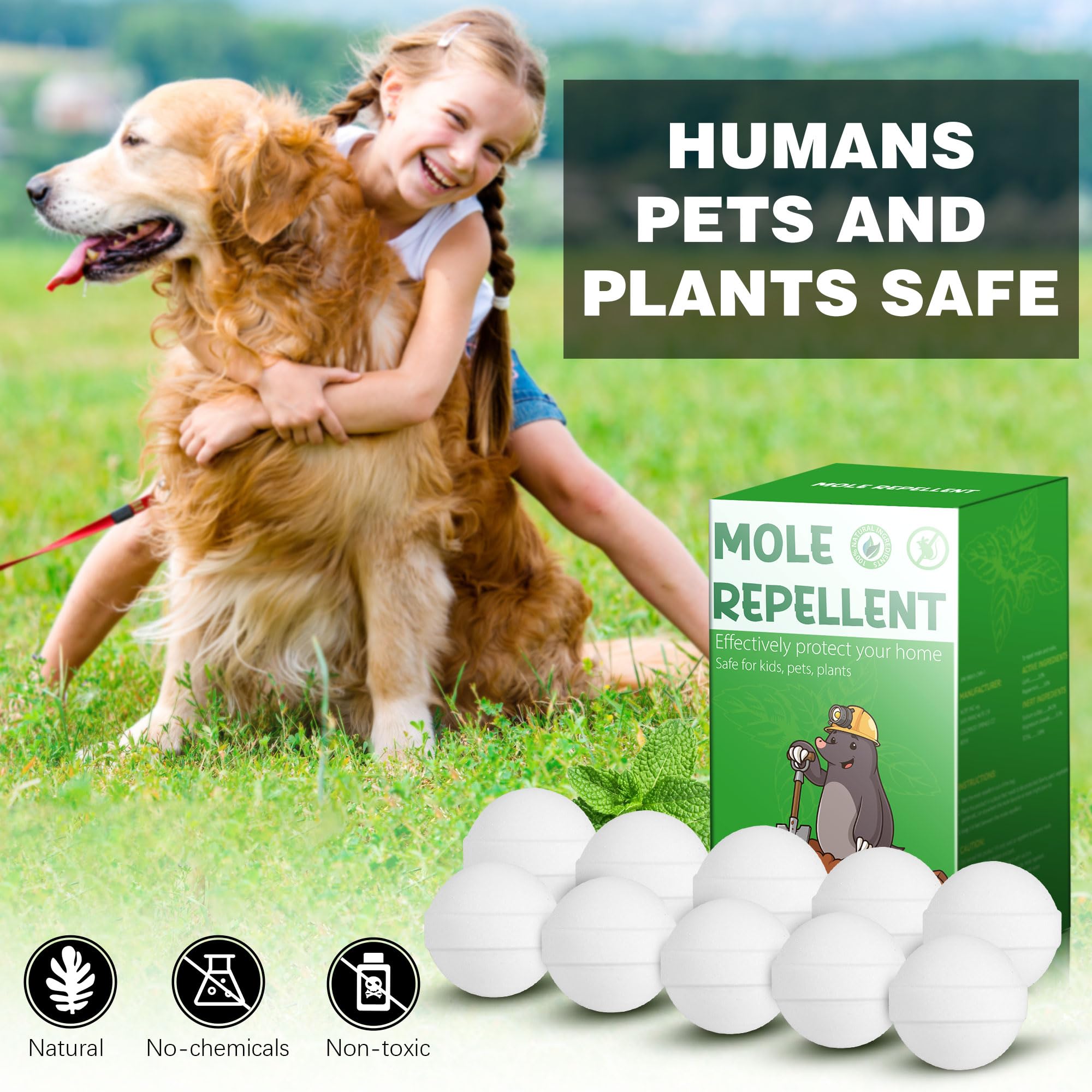 36 Pack Mole Repellent for Lawns, Natural Vole Repellent Gopher Repellent and Groundhog Repellent Outdoor Use, Getting Rid of Moles and Voles from Lawn Yard Garden, Mole Deterrents Plant Safe