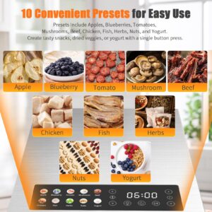 YASHE Food Dehydrator Machine, 10 Stainless Steel Food Dryer, 10 Presets, 48H Timer and Temperature Control, 850W Dehydrators for Food and Jerky, Herbs, Meat, Fruit, Dog Treats, Recipes Book Included