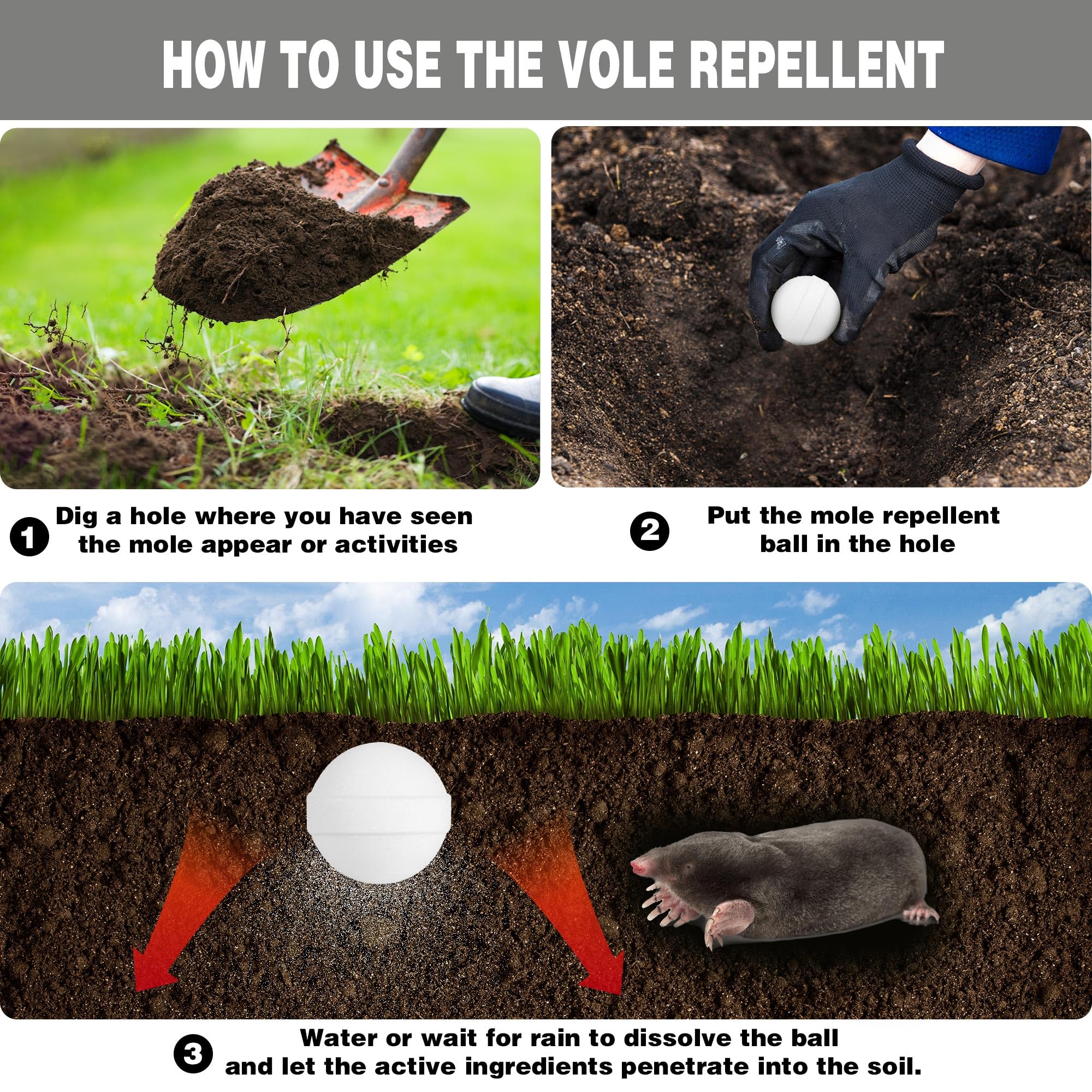 36 Pack Mole Repellent for Lawns, Natural Vole Repellent Gopher Repellent and Groundhog Repellent Outdoor Use, Getting Rid of Moles and Voles from Lawn Yard Garden, Mole Deterrents Plant Safe