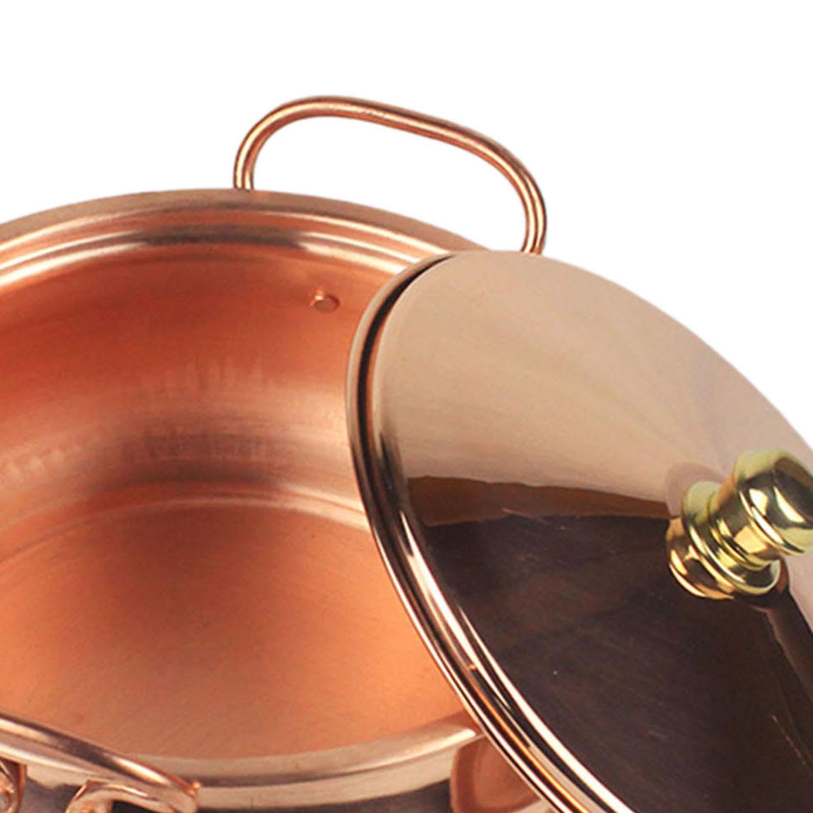 Fenteer Copper Pot for Stovetop, Induction Beautiful Shape Cooking Pot with Lid Saucepan Copper Cookware Hot Pot for Restaurant Home, 20cm