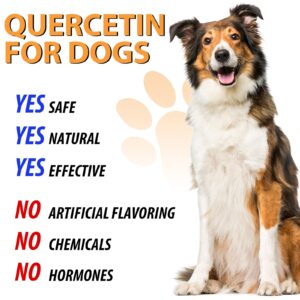 Quercetin for Dogs, Dog Quercetin Liquid Drops Supports Dogs Allergy Relief, Dog Herbal Supplement - Pet SuppliesQuercetin for Dog Itch Remedies - 60 ml / 2 fl.oz