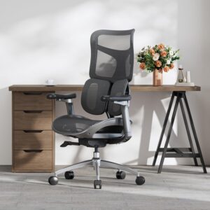 SIHOO Doro S100 Ergonomic Office Chair - with Dual Dynamic Lumbar Support, 5-Level Adjustable Backrest, 4D Coordinated Armrests, 135-degree Max. Recline Angle, Suitable for Home Office (Black)