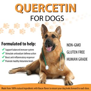 Quercetin for Dogs, Dog Quercetin Liquid Drops Supports Dogs Allergy Relief, Dog Herbal Supplement - Pet SuppliesQuercetin for Dog Itch Remedies - 60 ml / 2 fl.oz