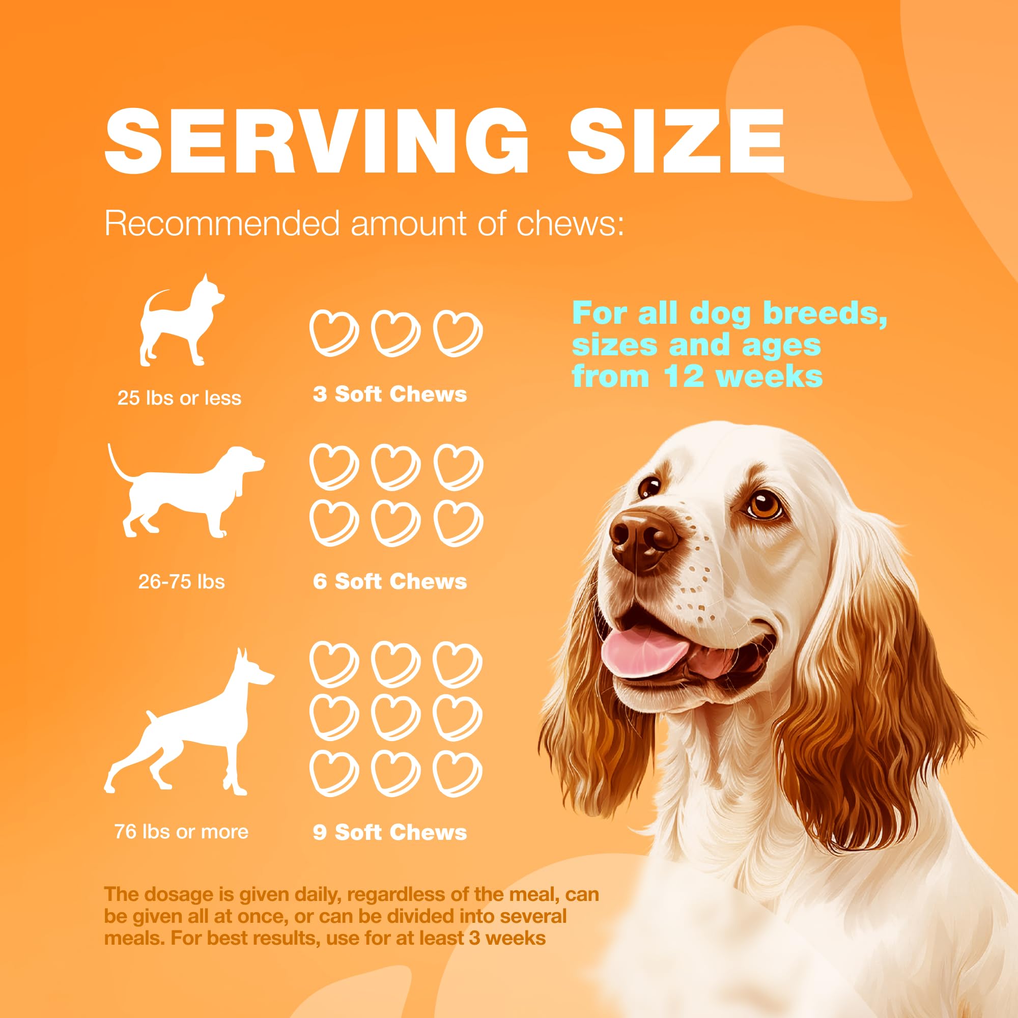 Immune System Support in Dogs Chewables - Quercetin, Turmeric, Marshmallow Root Extract - Digestive Health & Support Immunity and Respiratory Health - Antioxidants for Dogs