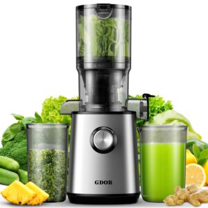 gdor cold press juicer with 4.25'' feed chute, masticating juicer machines fits whole fruits and vegetables, self feeding slow juicer with low noise, silver