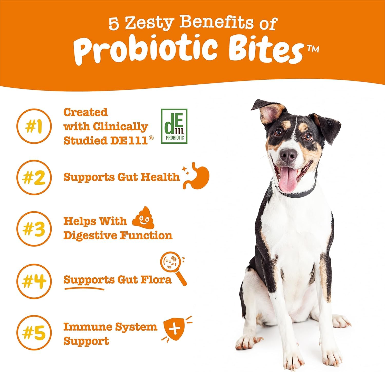 Probiotics for Dogs - Digestive Enzymes for Gut Flora, Digestive Health, Diarrhea & Bowel Support - Clinically Studied DE111 - Dog Supplement Soft Chew for Pet Immune System - Pumpkin