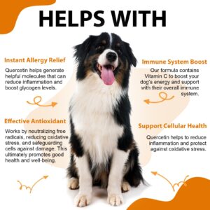 Quercetin for Dogs, Dog Quercetin Liquid Drops Supports Dogs Allergy Relief, Dog Herbal Supplement - Pet SuppliesQuercetin for Dog Itch Remedies - 60 ml / 2 fl.oz