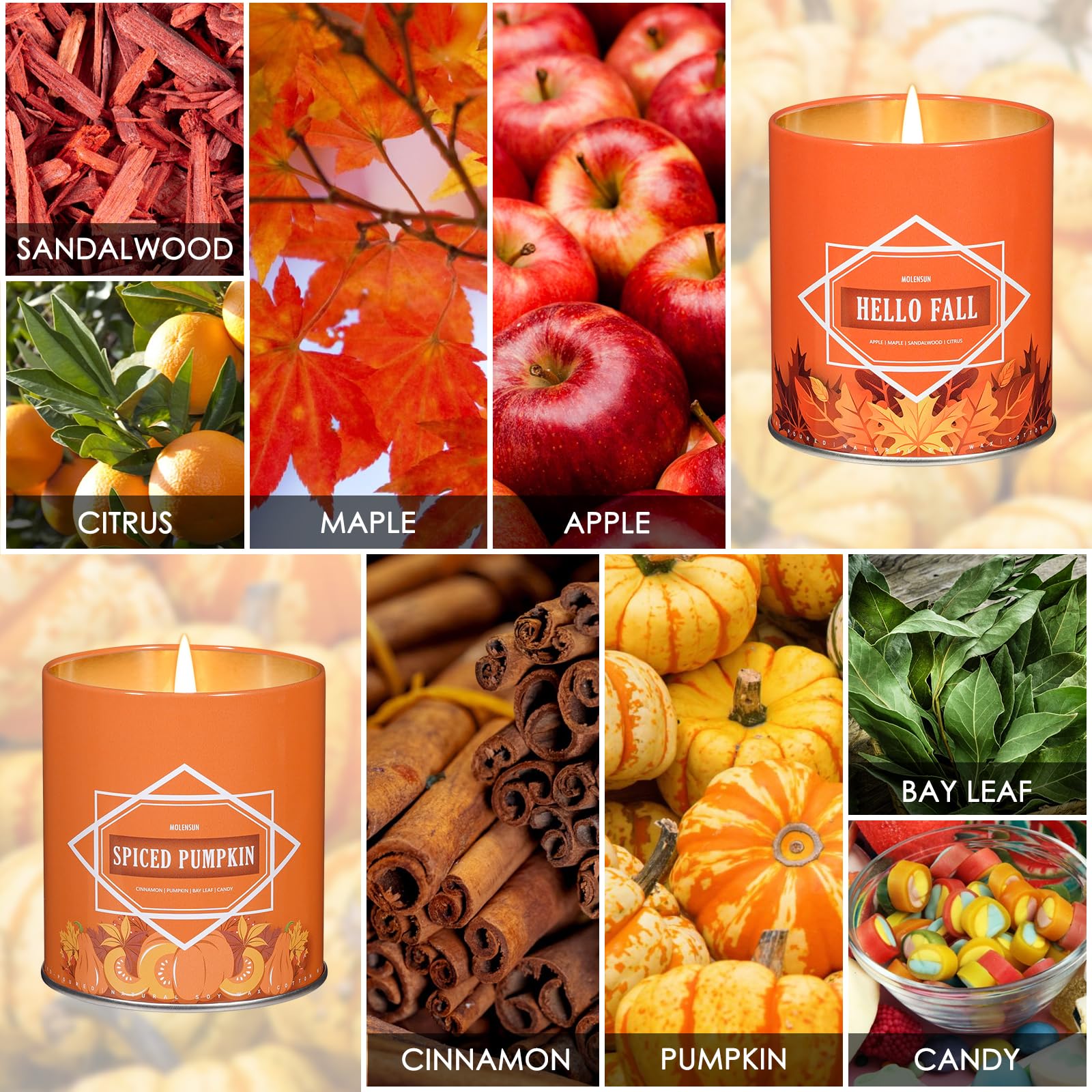 Fall Candle Set, Fall Scented Candles for Home, 4 Pack 36oz Soy Autumn Candles, Fall Gifts for Women, Fall Scents of Spiced Pumpkin/Cinnamon Clove/Apple Pie/Hello Fall