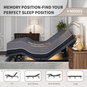 Dyonery Queen Adjustable Bed Frame with Mattress, 14 inch Frim Copper-Gel Memory Foam Mattress, Head & Foot Incline, 750lbs Lift Capacity, Powerful Quiet Motor, 5 Minutes Tools-Free Assembly