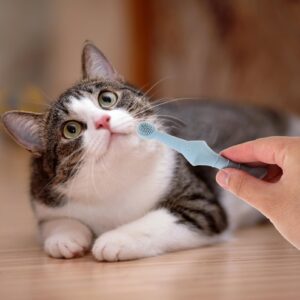 POPETPOP Silicone Soft Cat Dog Toothbrush, 2pcs Silicone Small Cat Dog Tooth Brushing Kit with Finger Toothbrush for Cat Small Breed