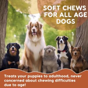 Probiotics for Dogs, Dog Probiotics for Digestive Health, Plus Pumpkin and Fish Oil, for Gut & Itchy, 120 Soft Chews