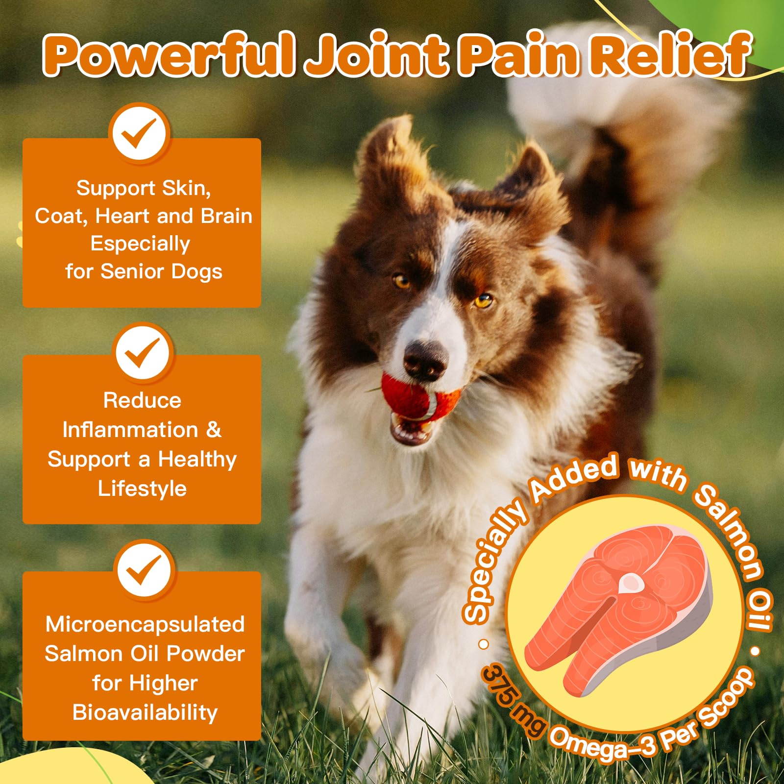 Glucosamine for Dogs Powder, Dog Vitamins Powder