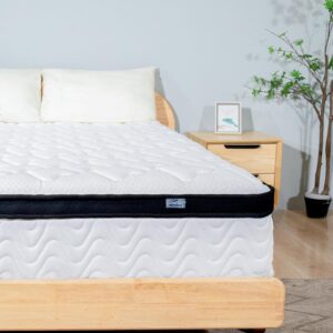 MOLBIUS Queen Mattress 10 Inch | Queen Size Hybrid Mattresses in a Box | Medium Firm Feel Memory Foam and Individual Pocket Springs | Fiberglass Free Bed Matress | Breathable | CertiPUR-US | Upgrade