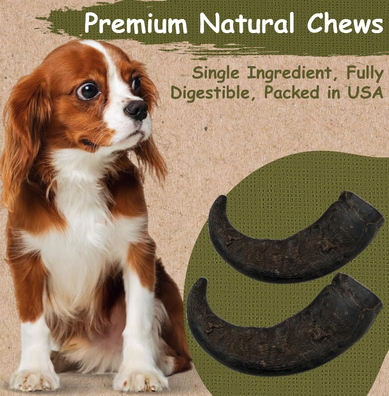 Top Dog Chews – Water Buffalo Horn, Long Lasting Dog Chew for Aggressive Chewers, All Natural, Dog Bone for Large & Medium Dogs, 2 Pack