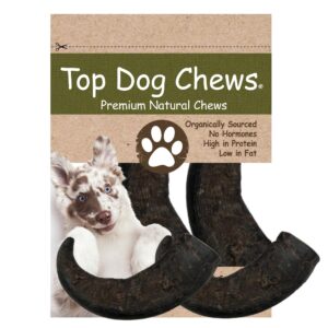 Top Dog Chews – Water Buffalo Horn, Long Lasting Dog Chew for Aggressive Chewers, All Natural, Dog Bone for Large & Medium Dogs, 2 Pack